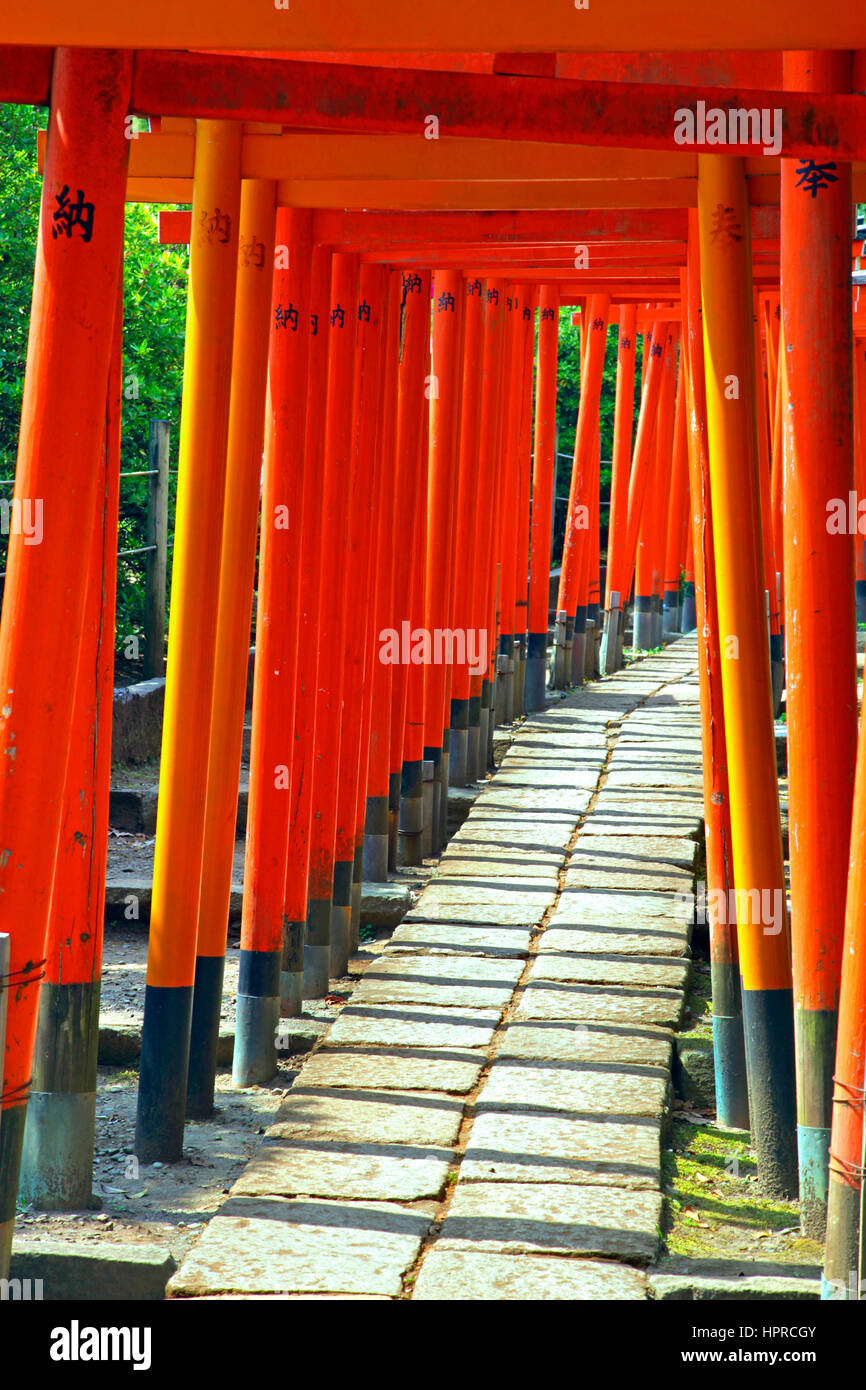 Torii gates nezu sanctuaire Banque de photographies et d’images à haute ...