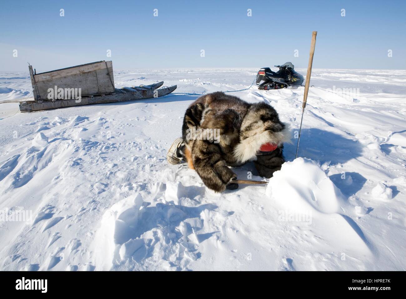 Esquimaux inuits homme Banque de photographies et d’images à haute ...