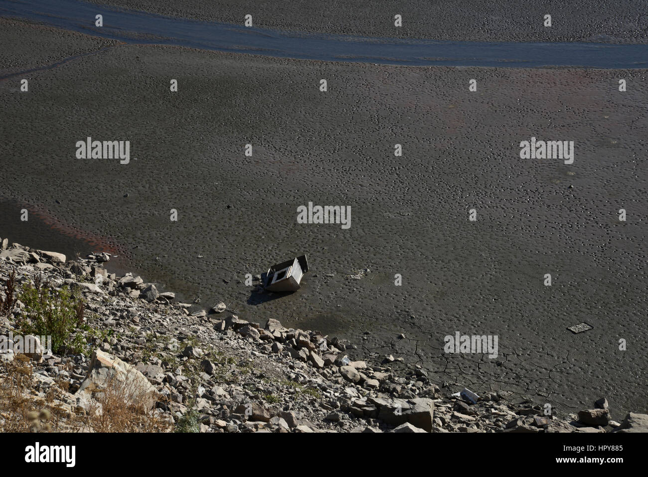 Gaz des marais Banque de photographies et d’images à haute résolution ...