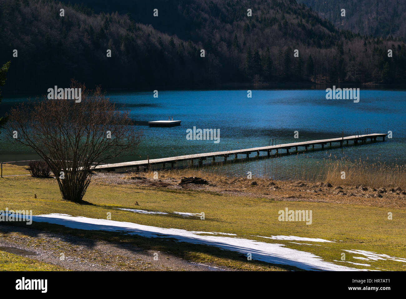 Alpsee bei schwangau Banque de photographies et d’images à haute ...