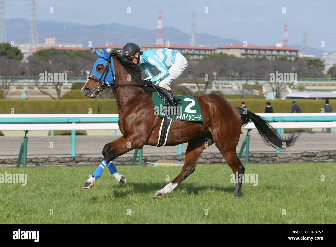 Code divin (Yoshitomi Shibata), le 25 février 2017 - Les courses de ...