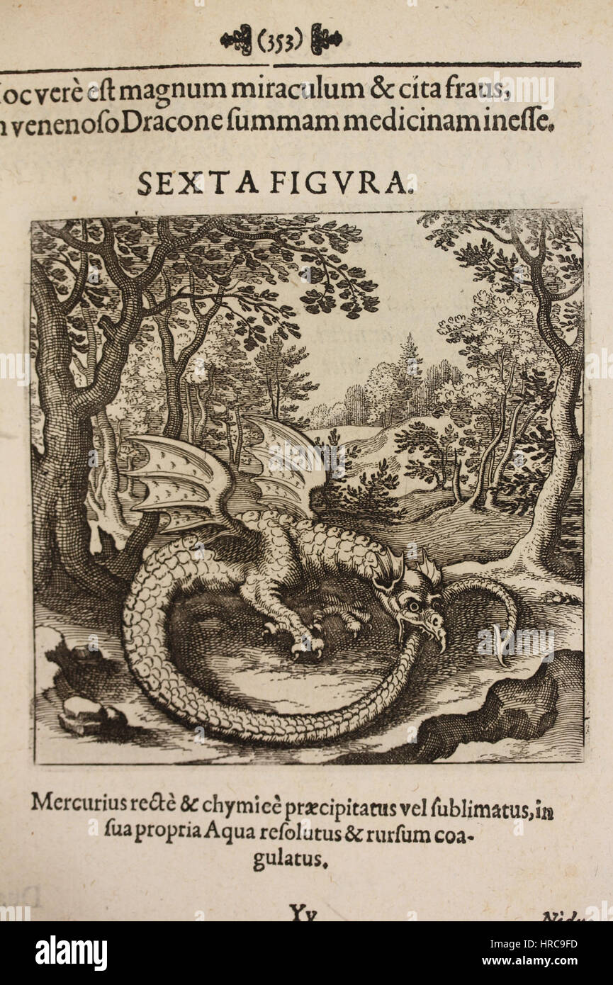 Musaeum hermeticum Banque de photographies et d’images à haute ...