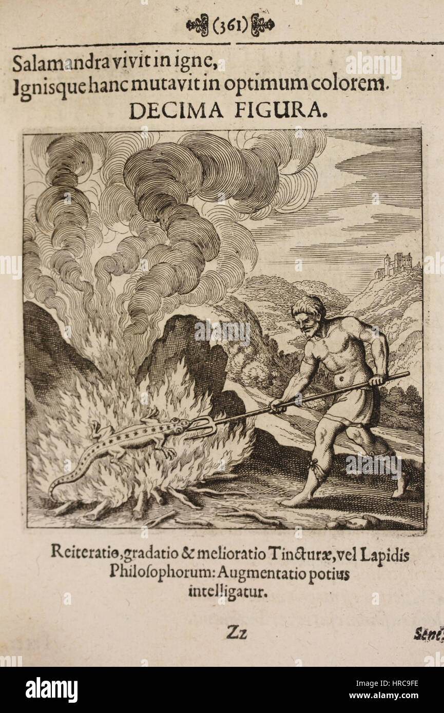 Musaeum hermeticum Banque de photographies et d’images à haute ...