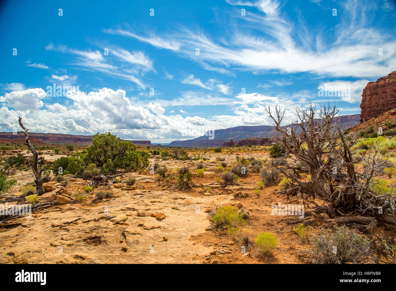 Président de Jacob, un 270 pieds de Wingate sandstone tower dans le ...