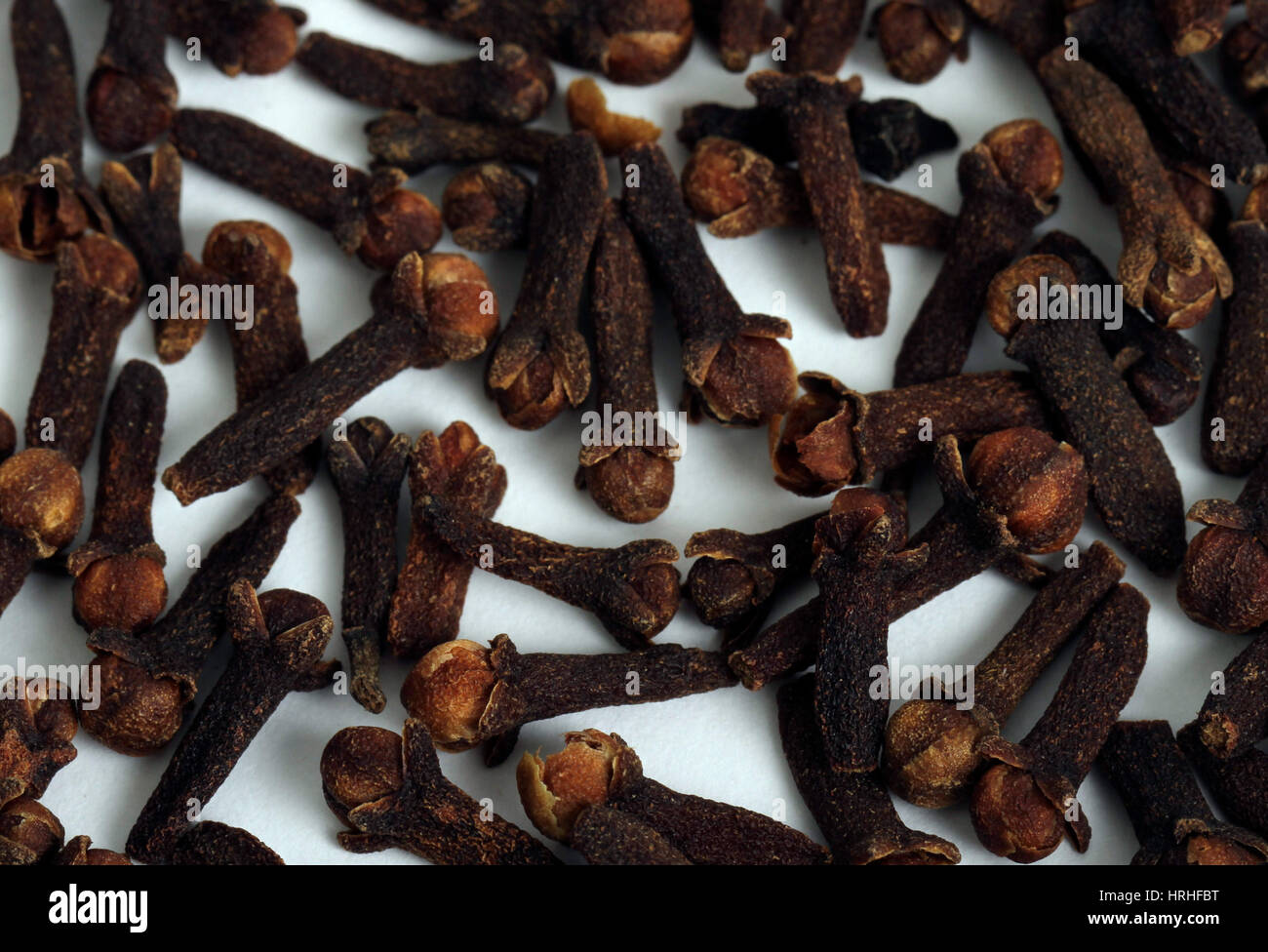 Cloves flower Banque de photographies et d’images à haute résolution ...