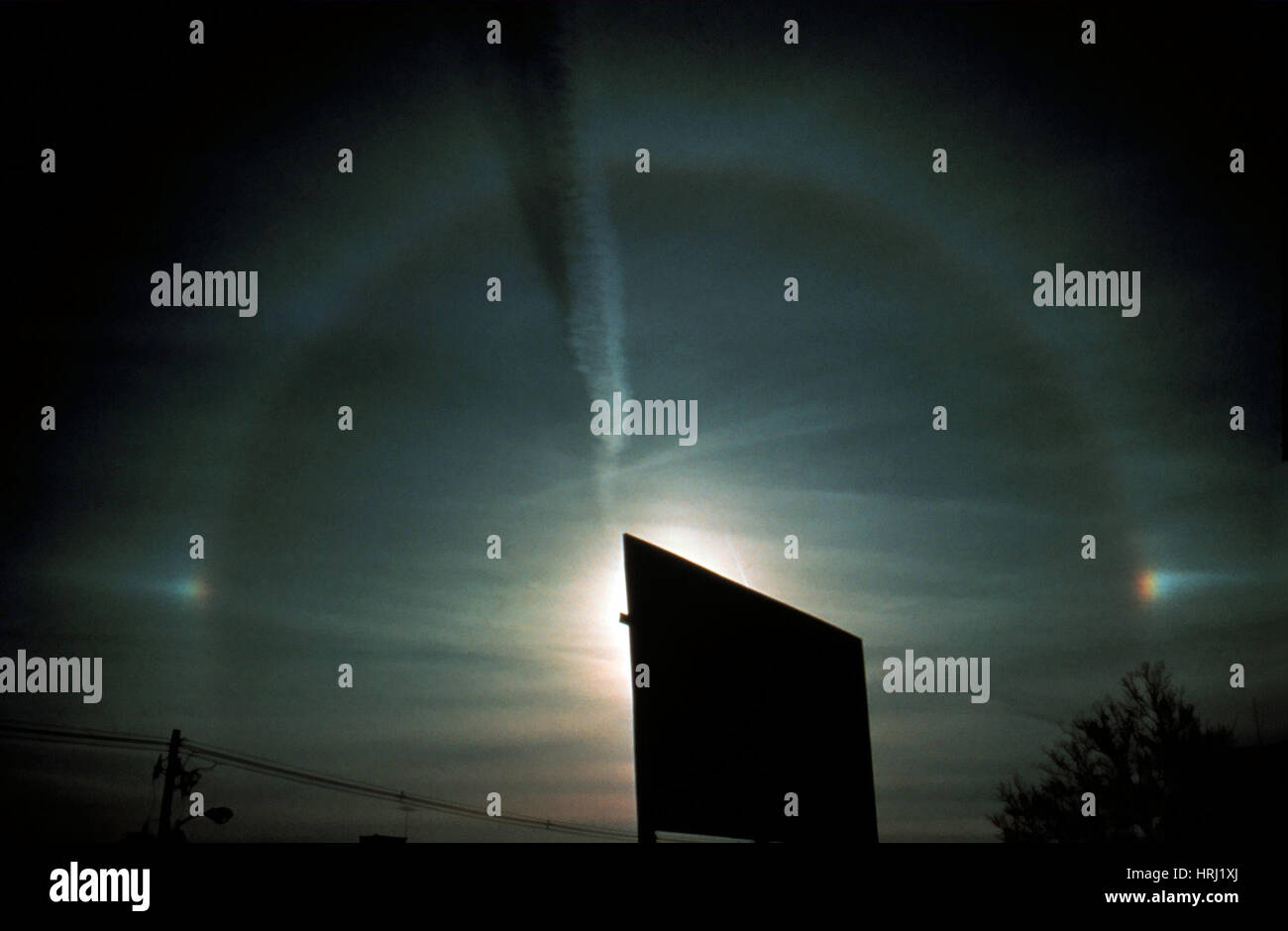 Dog moon Banque de photographies et d’images à haute résolution - Alamy