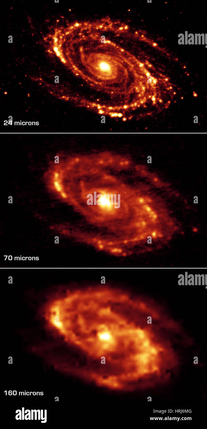 Galaxie spirale m81 Banque de photographies et d’images à haute résolution - Alamy