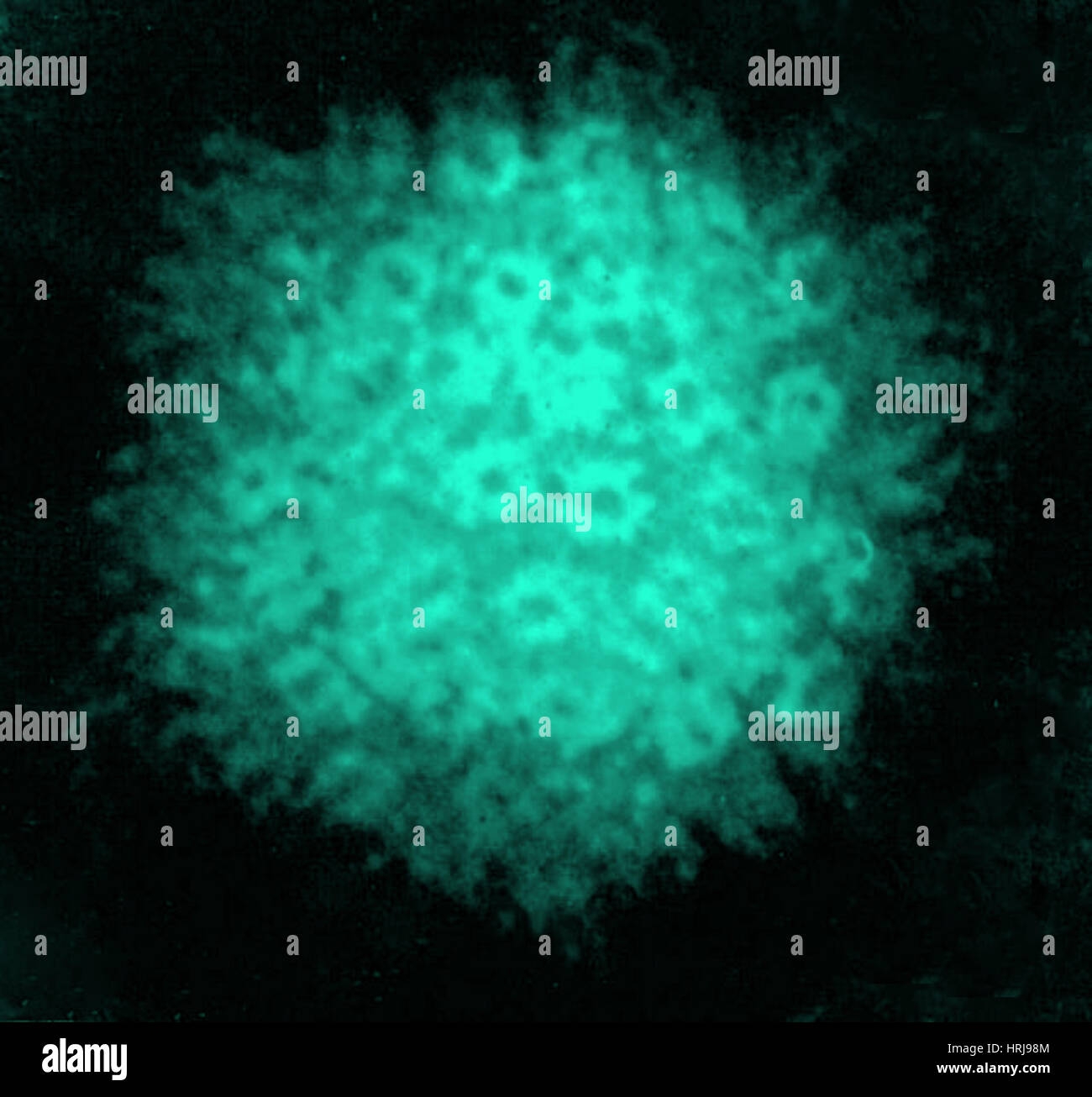 Varicella zoster micrograph Banque de photographies et d’images à haute ...