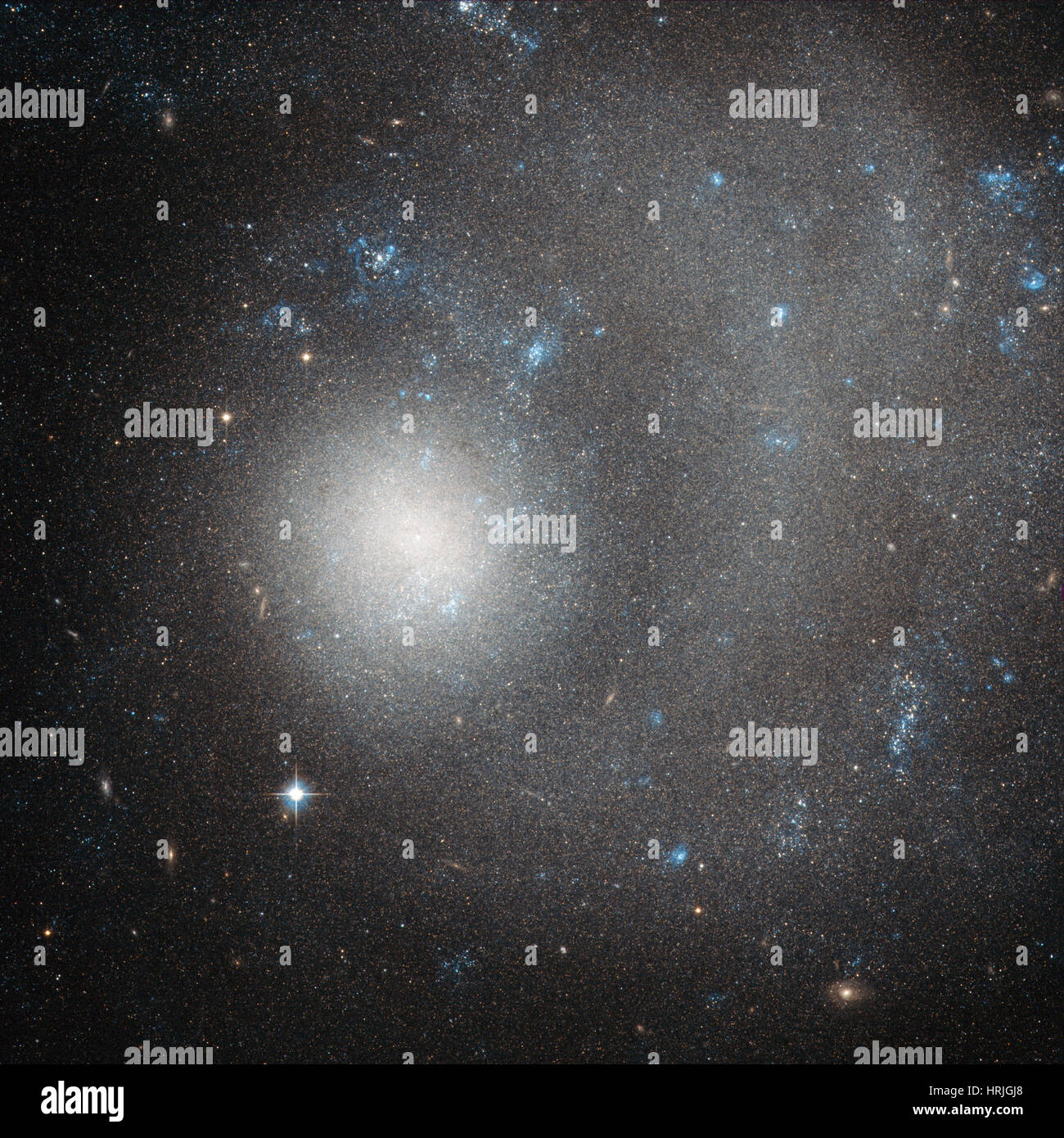 Ngc 5474 Banque de photographies et d’images à haute résolution - Alamy