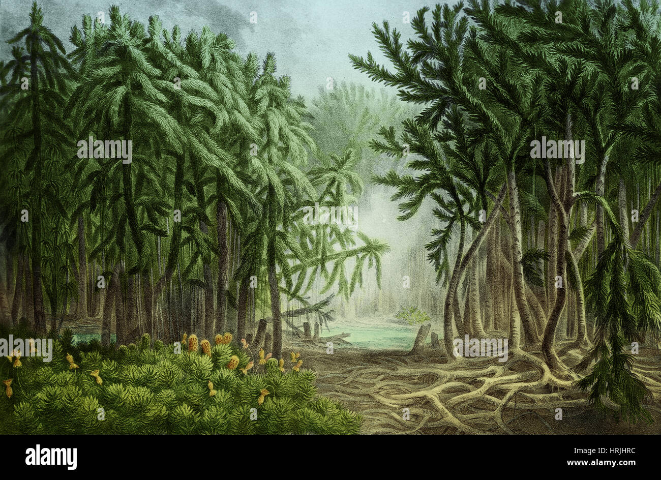 Paysage prehistoriques Banque de photographies et d’images à haute ...