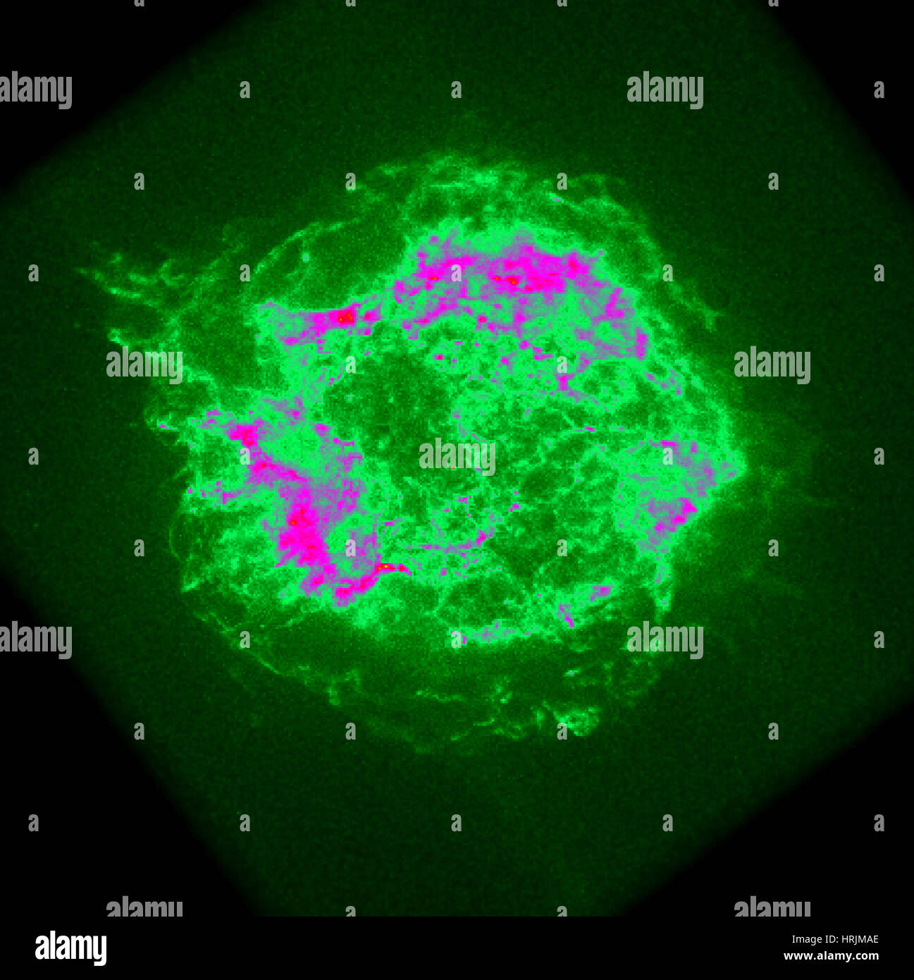 Un tas d'éléments lourds, Map, à bande large X-Ray Photo Stock - Alamy