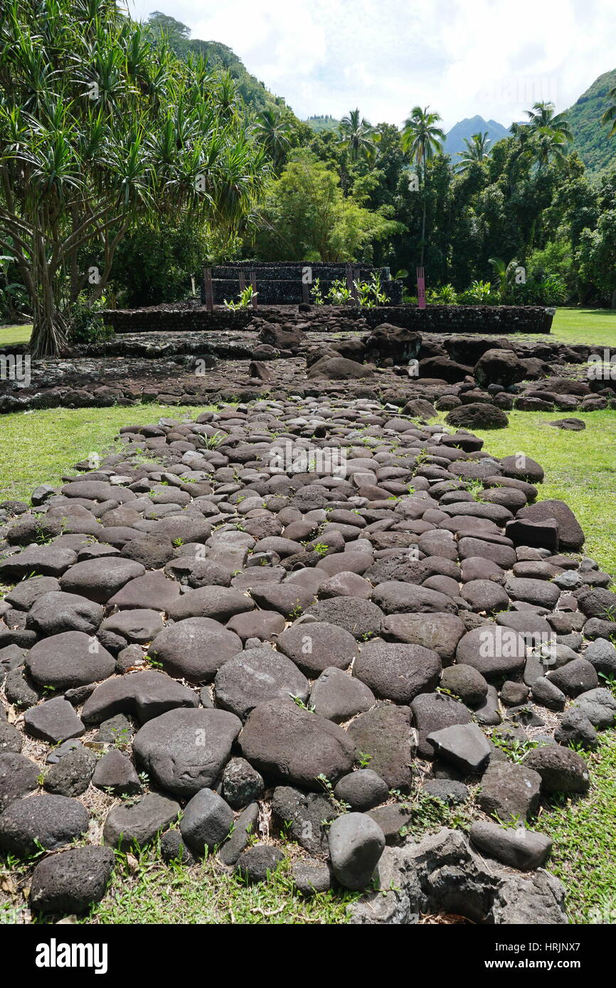 Polynésie Française Tahiti Arahurahu Marae la pierre ancienne structure ...