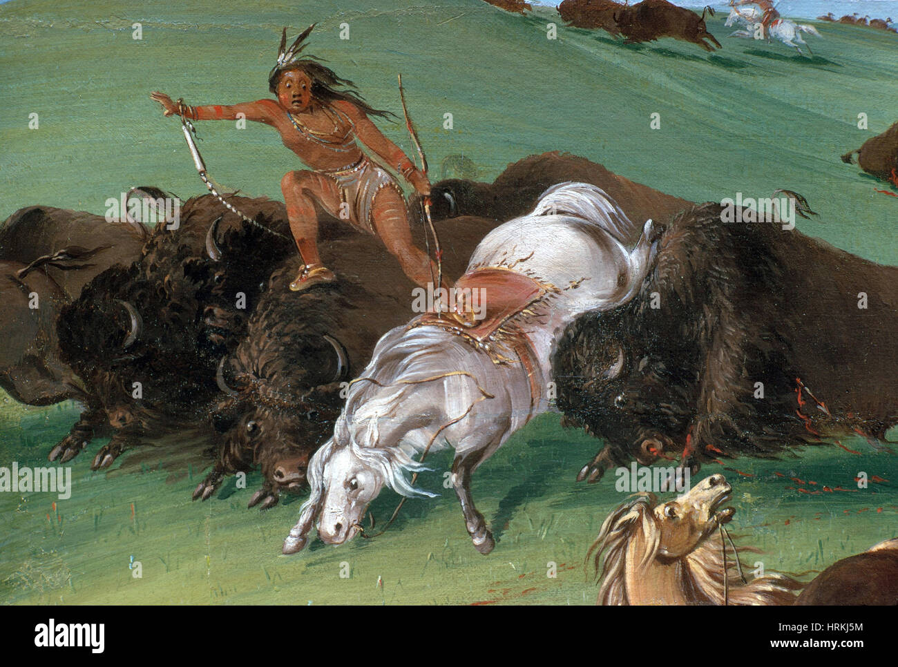 Buffalo hunt george catlin Banque de photographies et d’images à haute ...