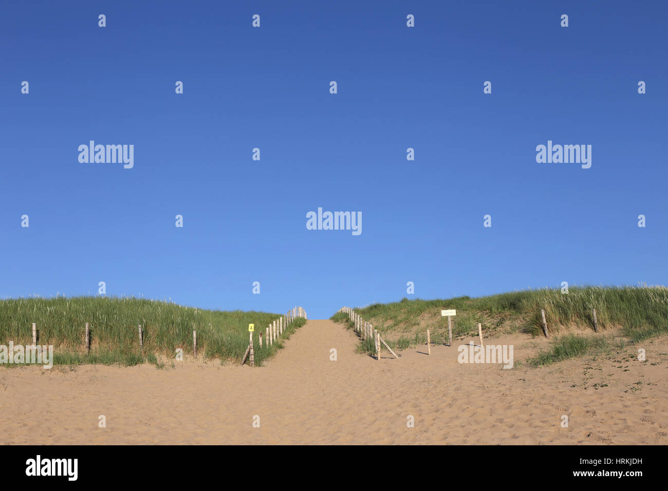 Large sentier sablonneux Banque de photographies et d’images à haute ...