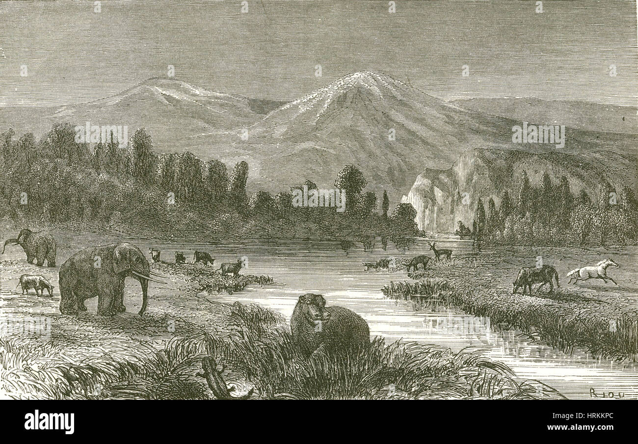 Pliocene epoch Banque de photographies et d’images à haute résolution ...