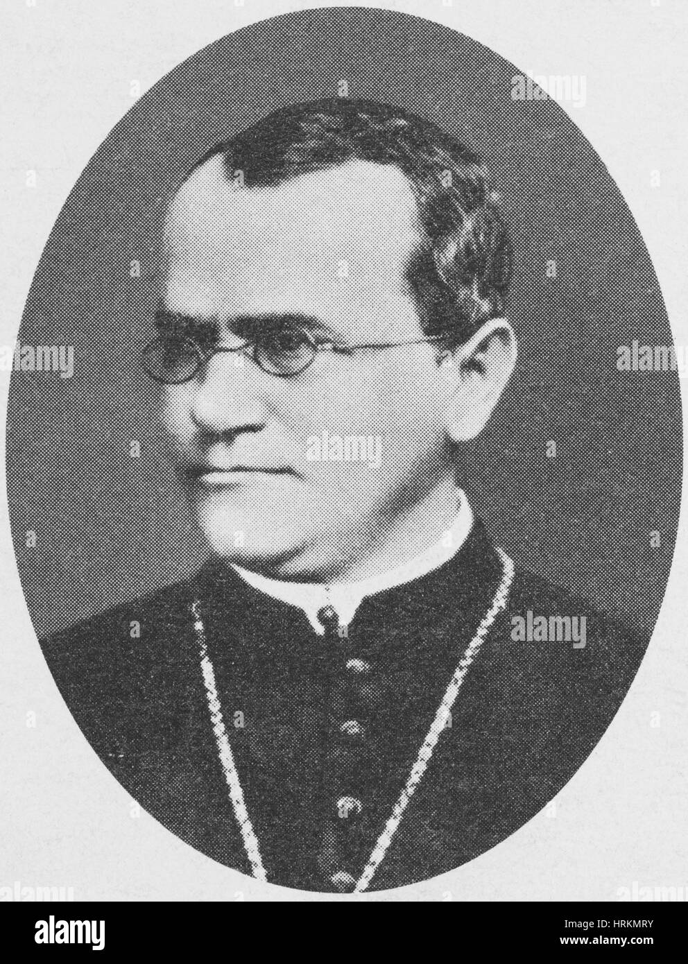 Gregor mendel inheritance Banque de photographies et d’images à haute résolution - Alamy