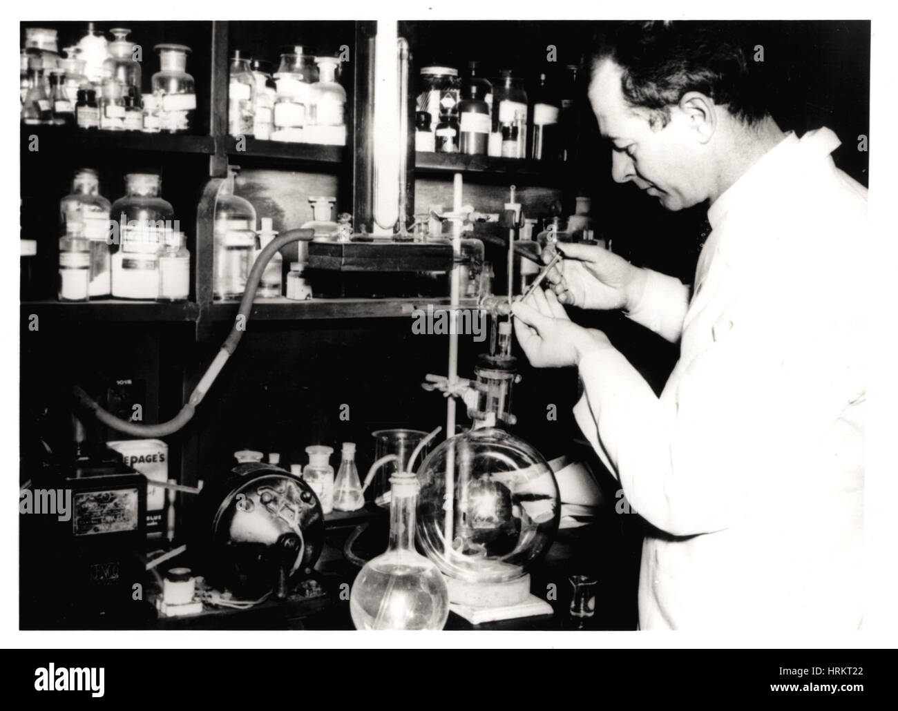 Linus carl pauling Banque de photographies et d’images à haute ...