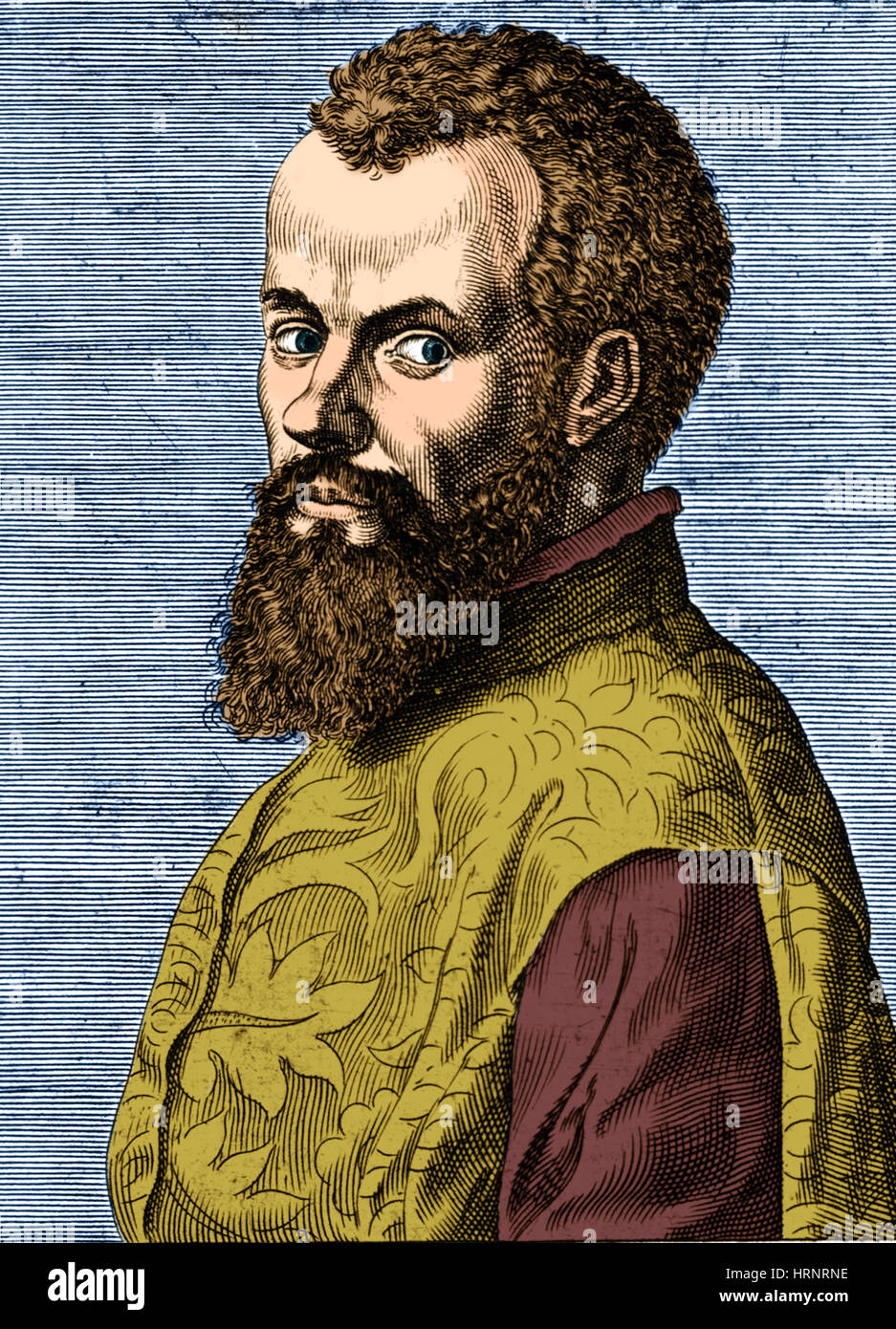 Andreas vesalius Banque de photographies et d’images à haute résolution ...