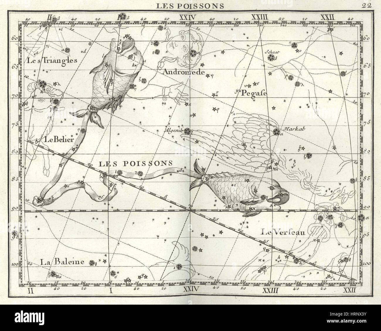 Les poissons de la constellation Banque de photographies et d’images à ...