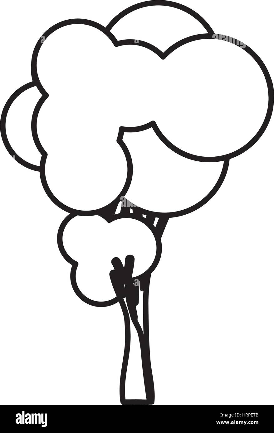 Silhouette croquis arbre avec feuilles de forme arrondie Image ...