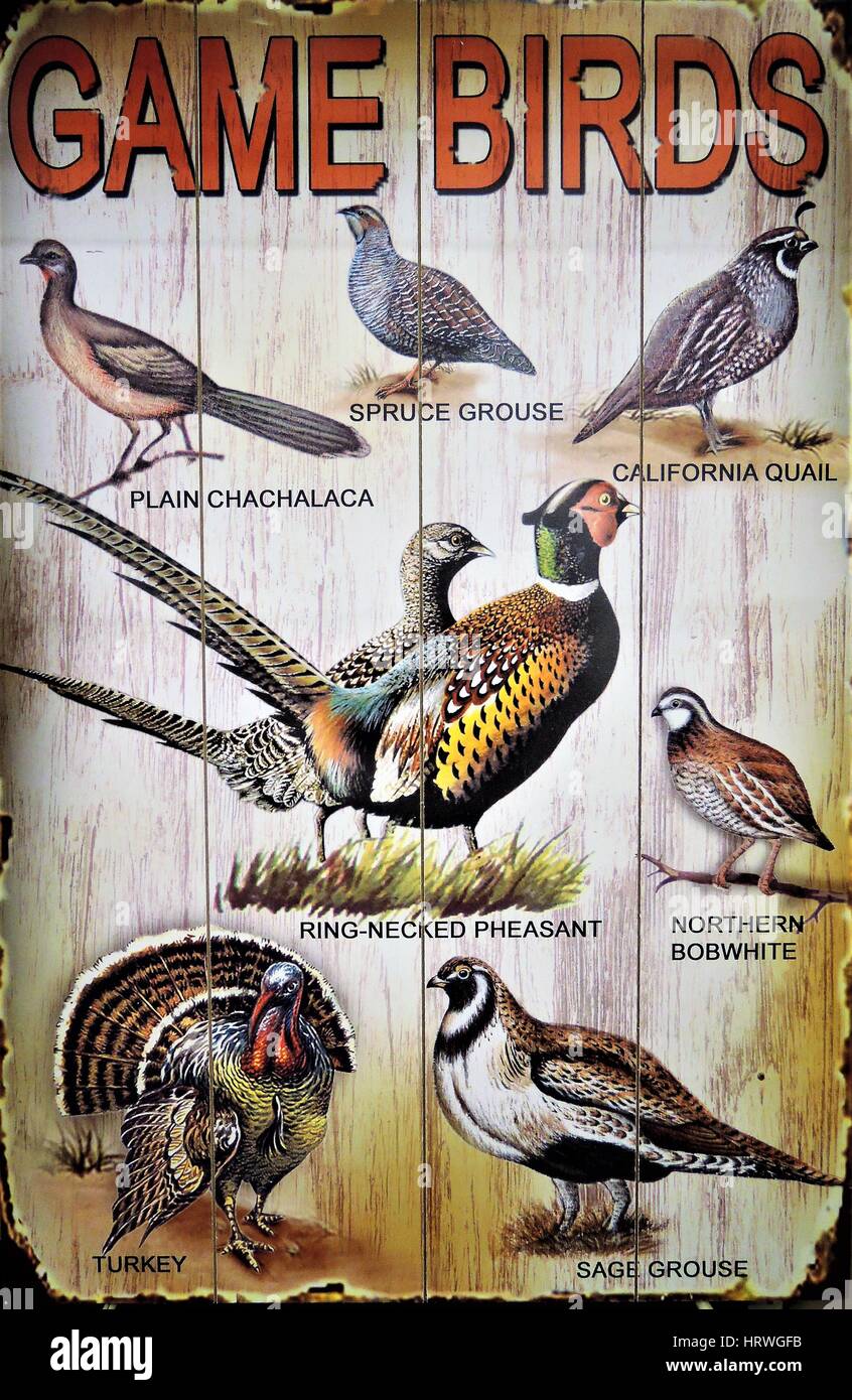 Signification des signes Banque de photographies et d’images à haute ...