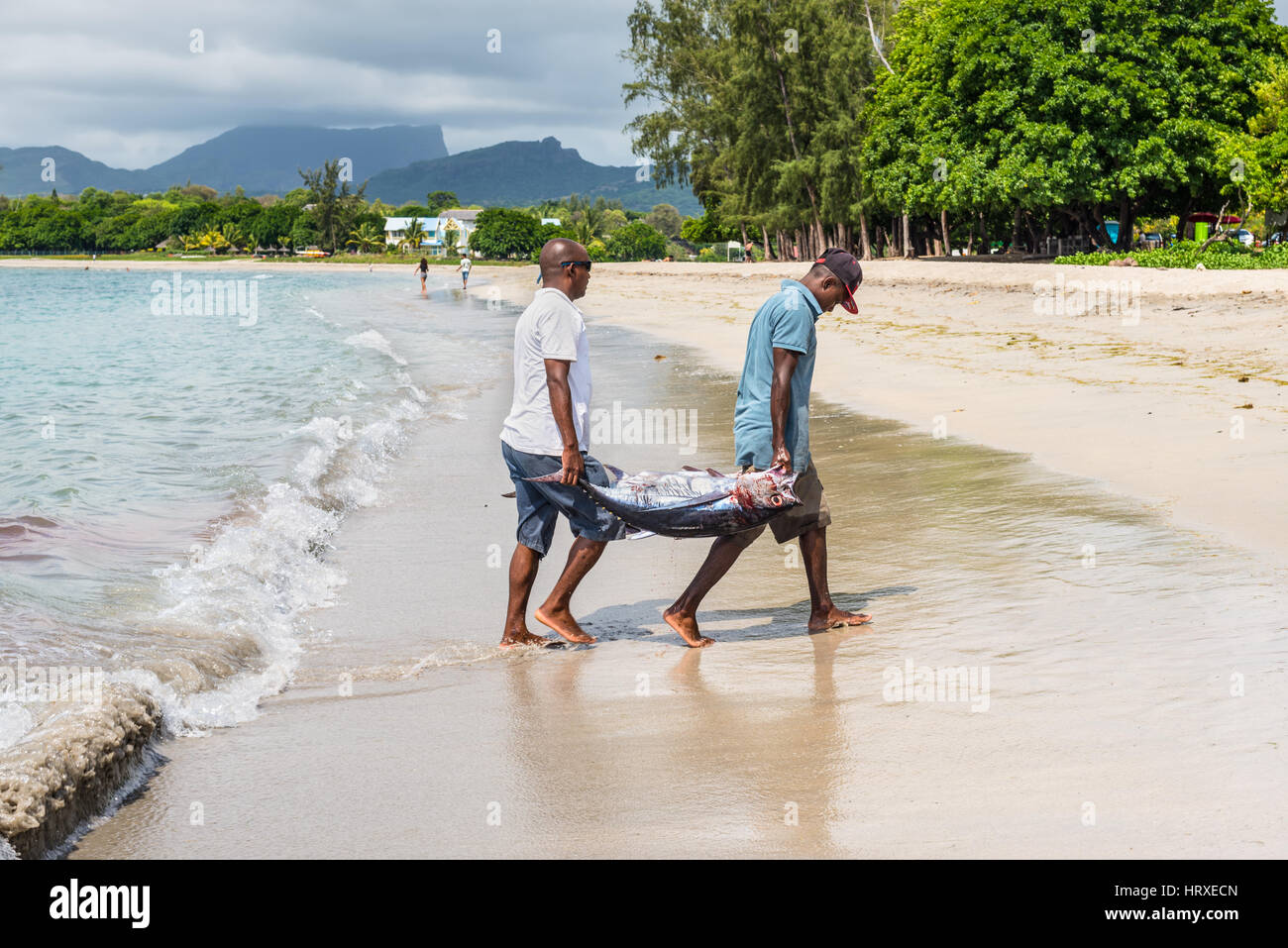 Tamarin, Ile Maurice - décembre 9, 2015 : transporter deux pêcheurs de ...