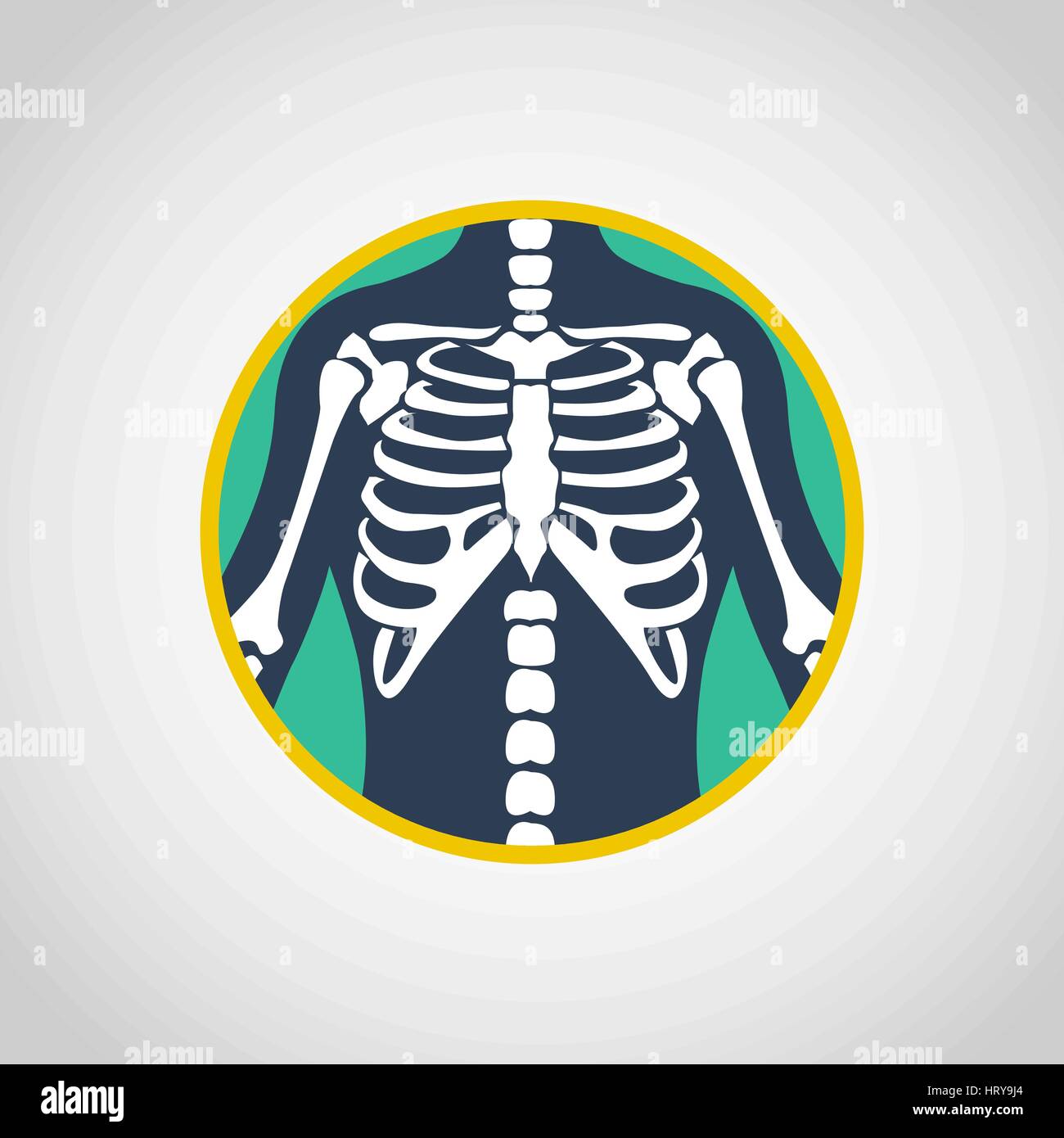 Radiographie de la logo vector icône concevoir Image Vectorielle Stock - Alamy