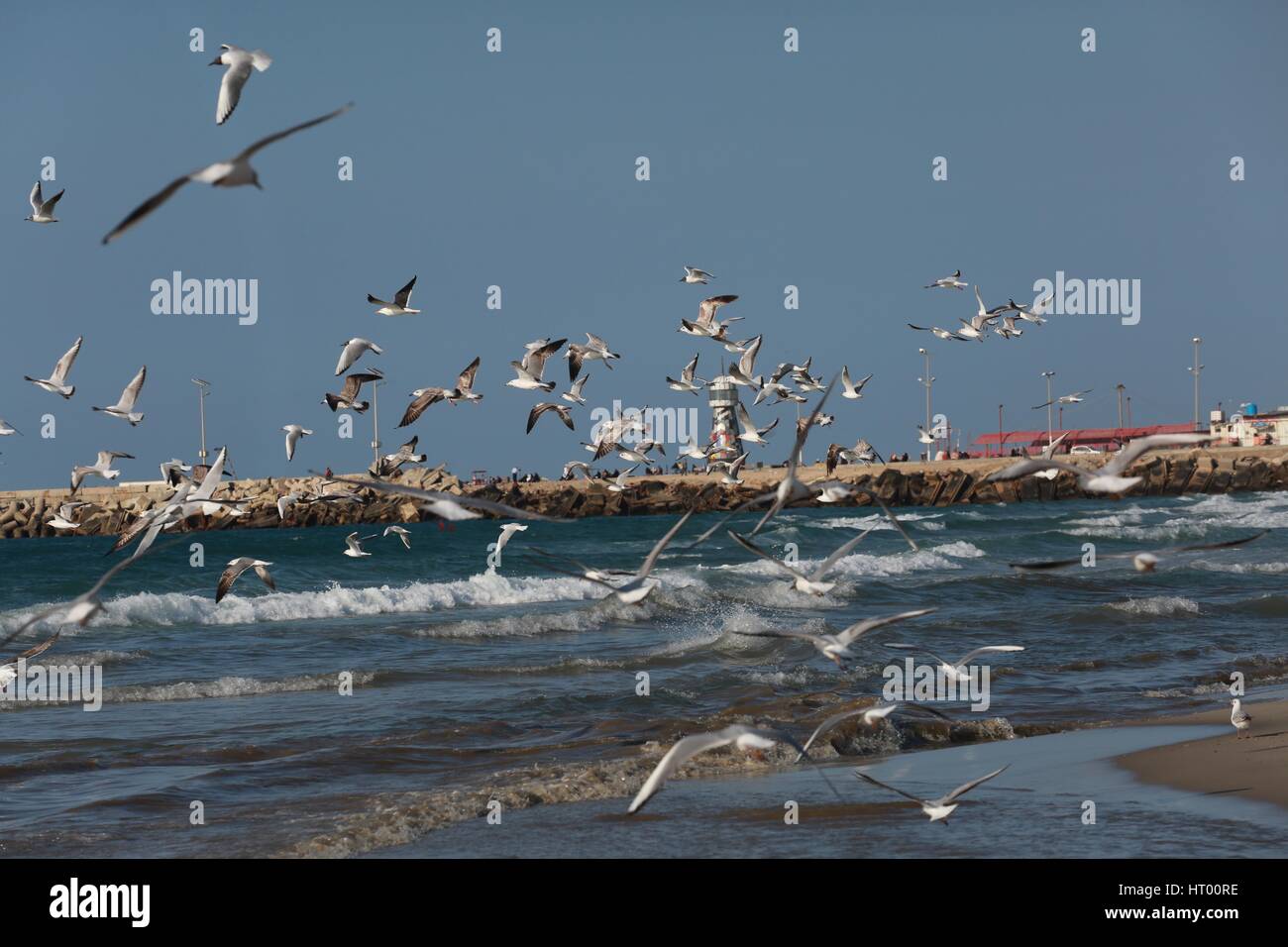 La ville de Gaza, bande de Gaza, territoire palestinien. 6Th Mar, 2017 ...