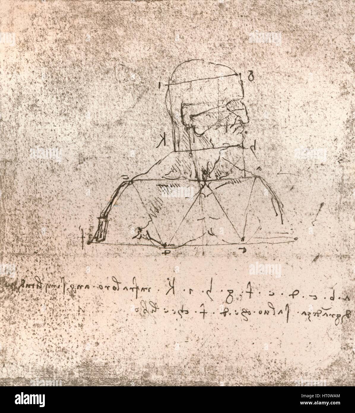 Dessin illustrant la théorie des proportions de la figure humaine ...