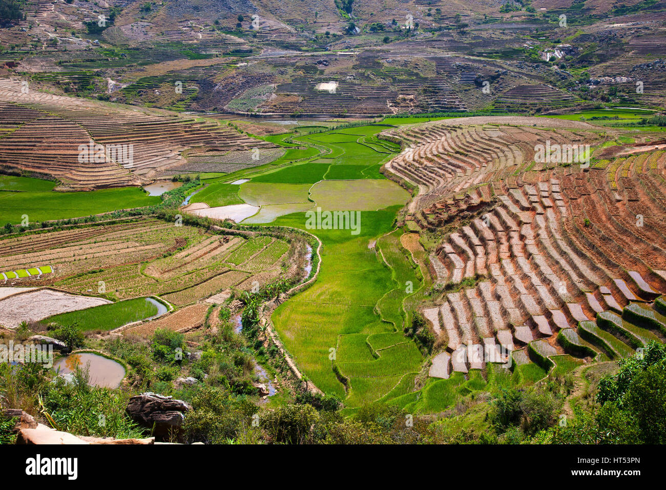 Rizières en terrasses, le Centre de Madagascar, par Monika Hrdinova ...