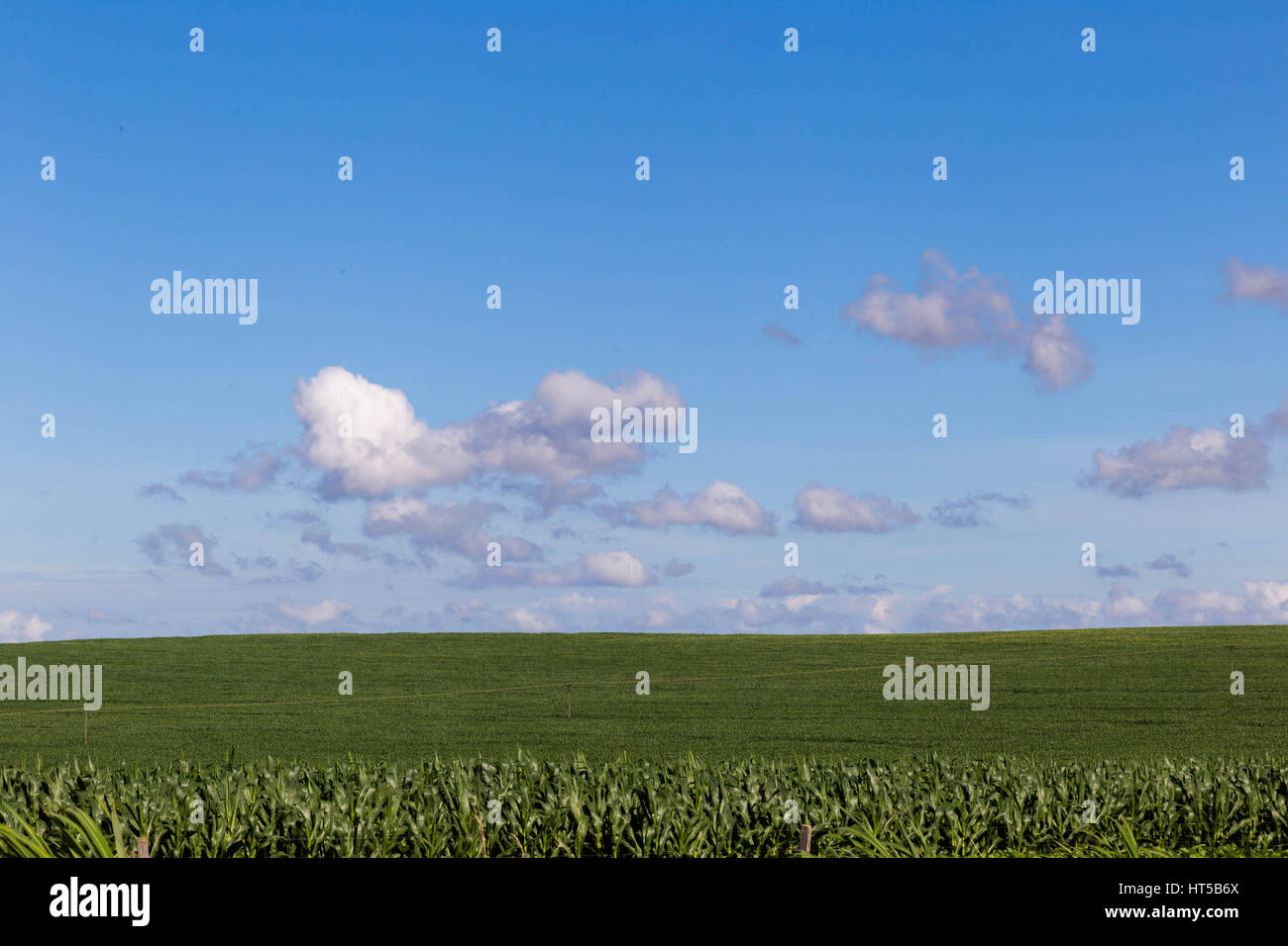 Bord de l'autoroute Banque de photographies et d’images à haute ...