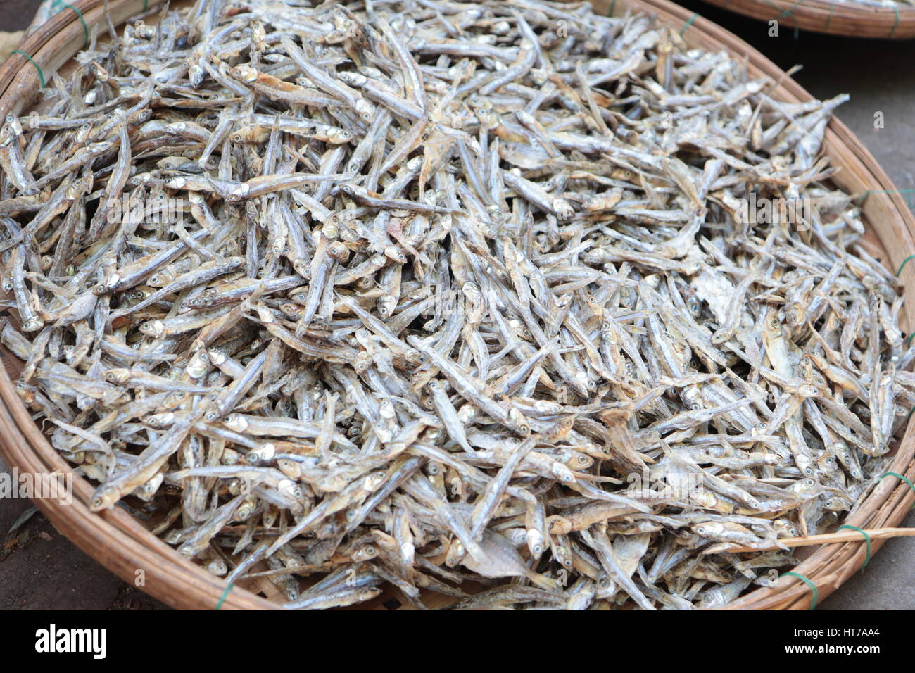 Petits poissons de la mer Banque de photographies et d’images à haute ...