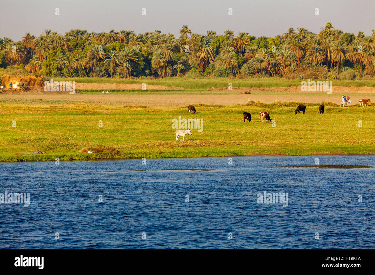 Carte du fleuve nil Banque de photographies et d’images à haute ...