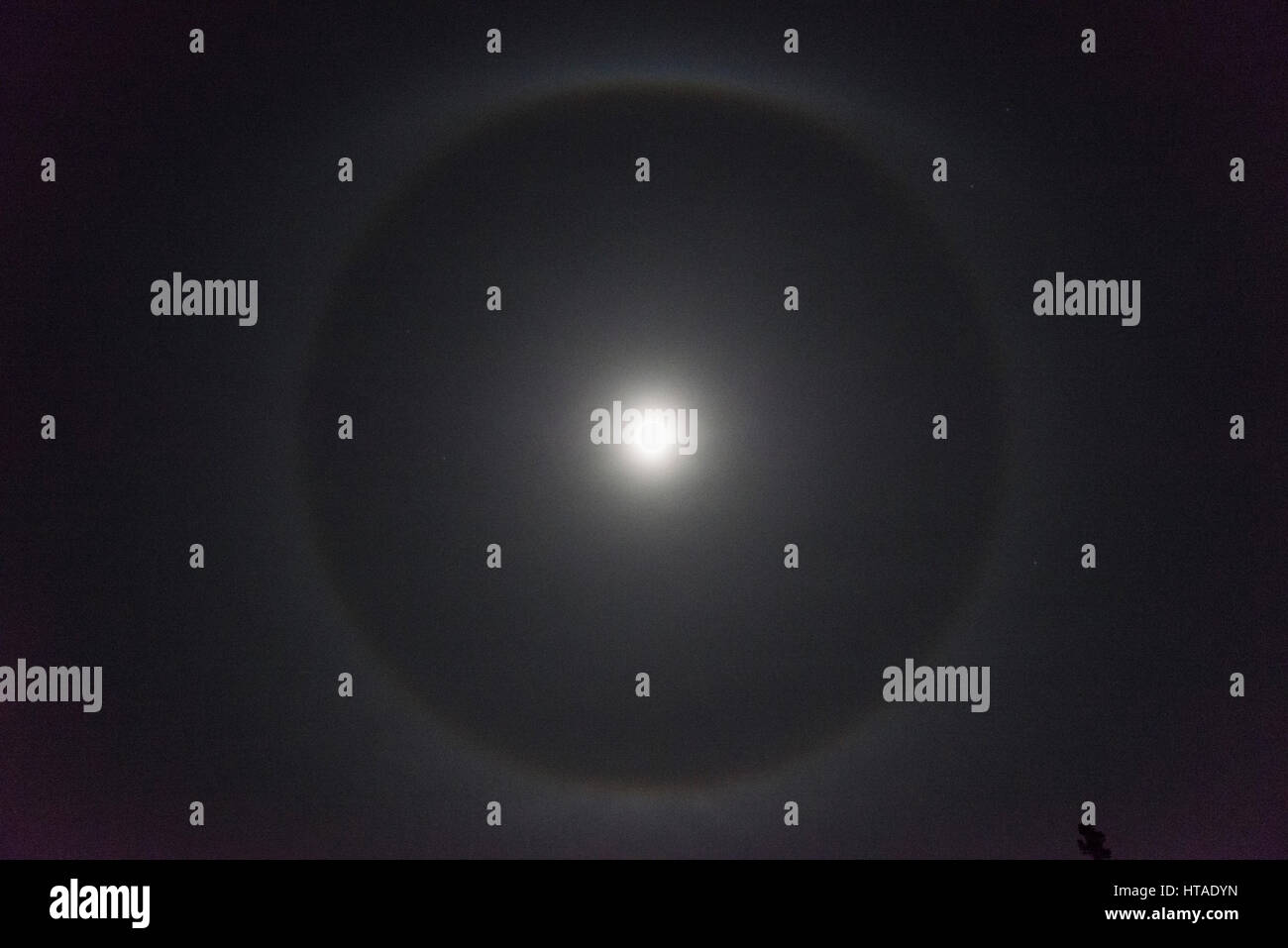 22 ° auréole autour de la lune Banque de photographies et d’images à haute résolution - Alamy