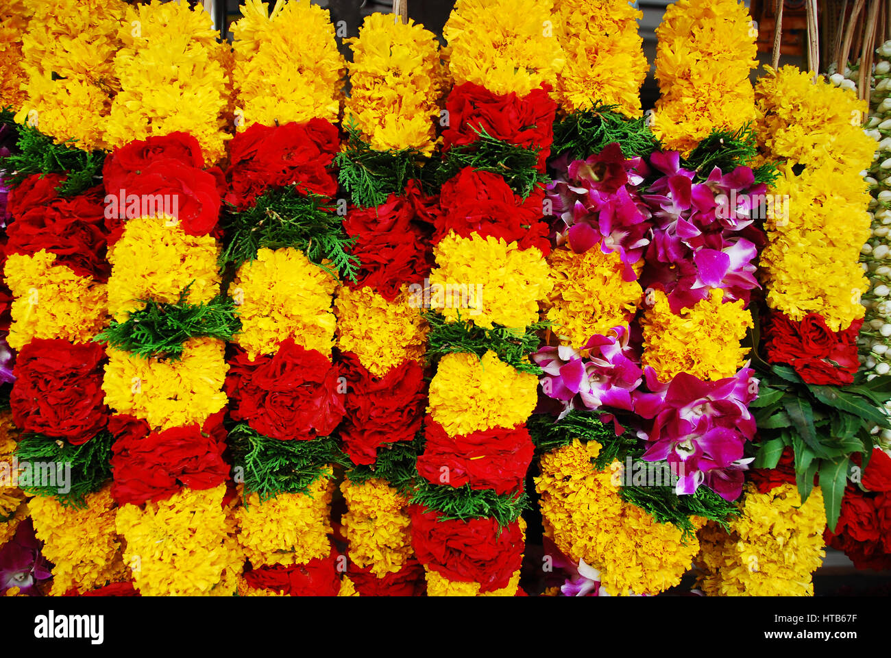 Indian flower Banque de photographies et d’images à haute résolution ...