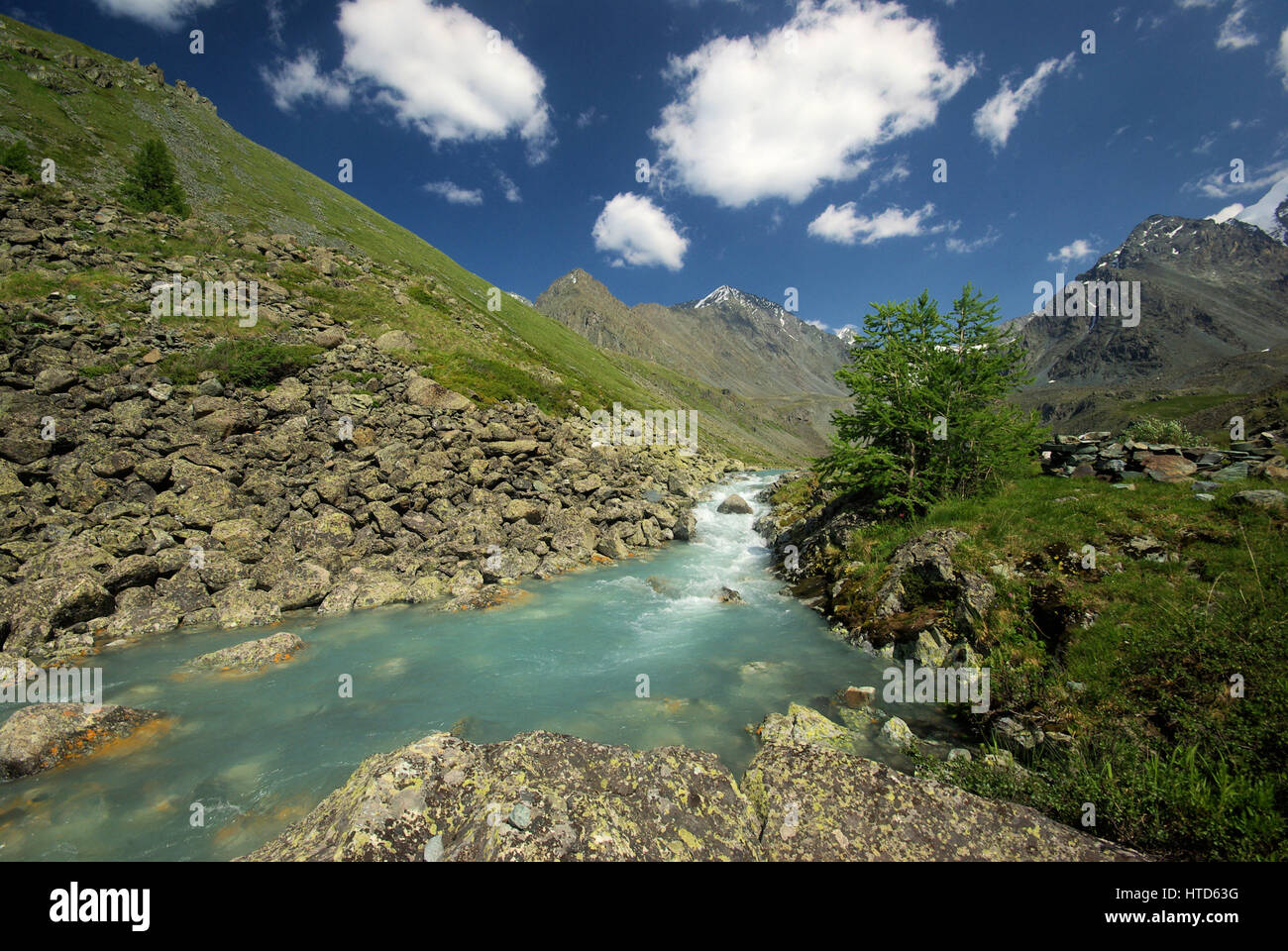 La rivière de montagne dans les montagnes. Courant à travers les gorges ...