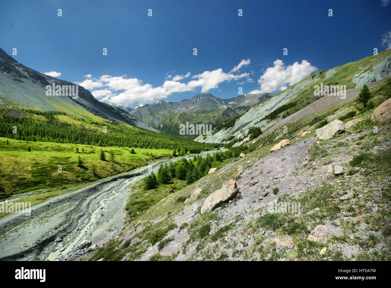 La rivière de montagne dans les montagnes. Courant à travers les gorges ...