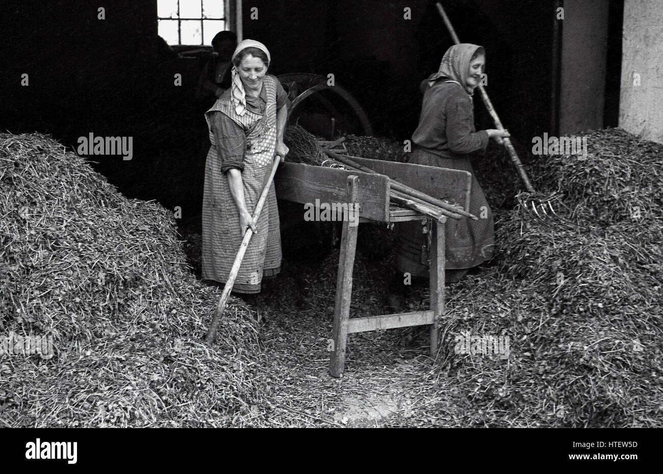 Farm Workers 1930s Banque d'image et photos - Alamy