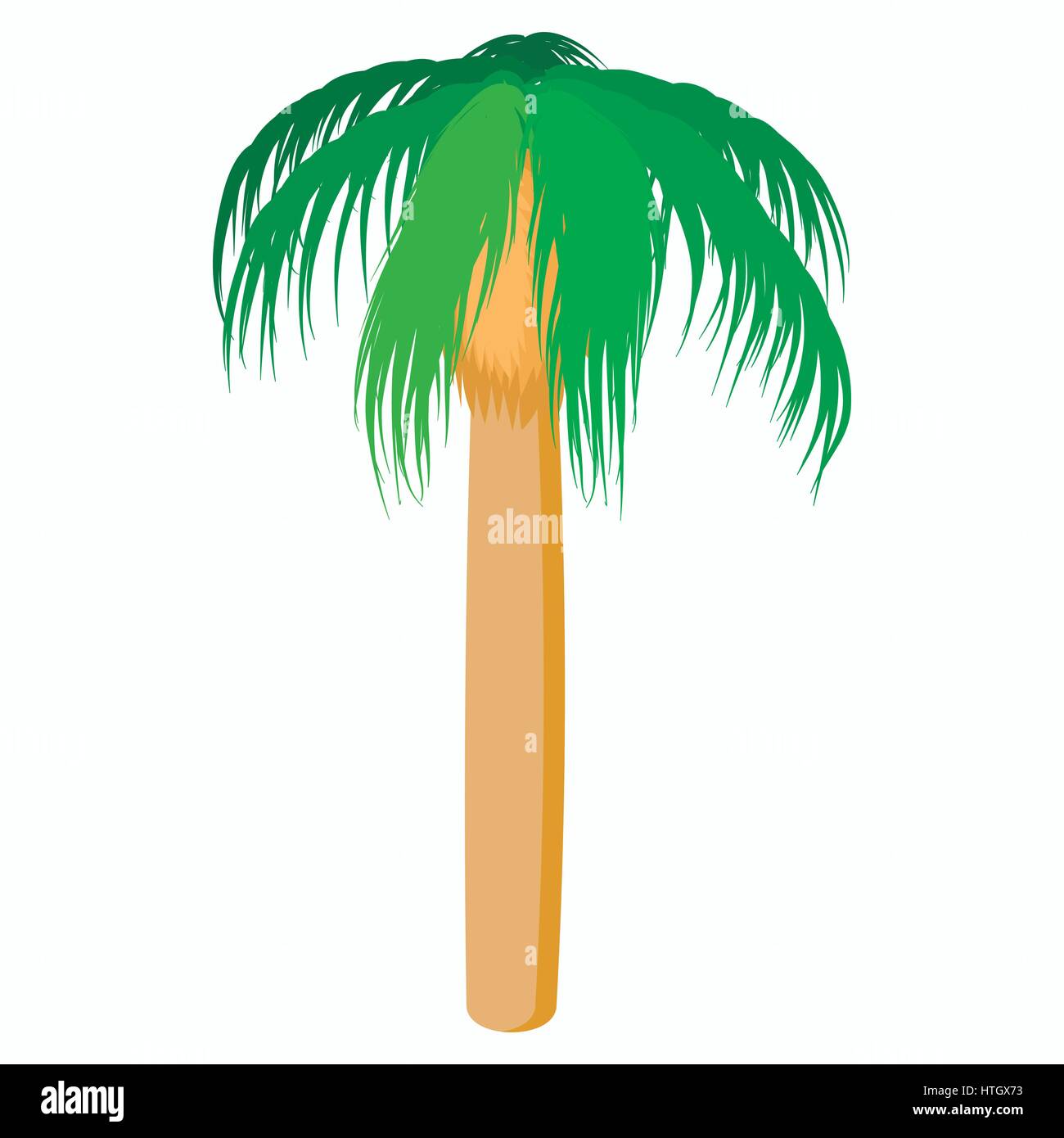 Palmier debout Banque d'images vectorielles - Alamy