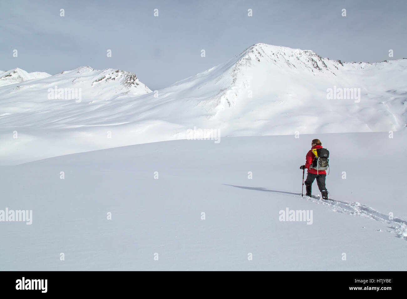 Female Snowshoeing In Fresh Deep Snow Banque De Photographies Et D