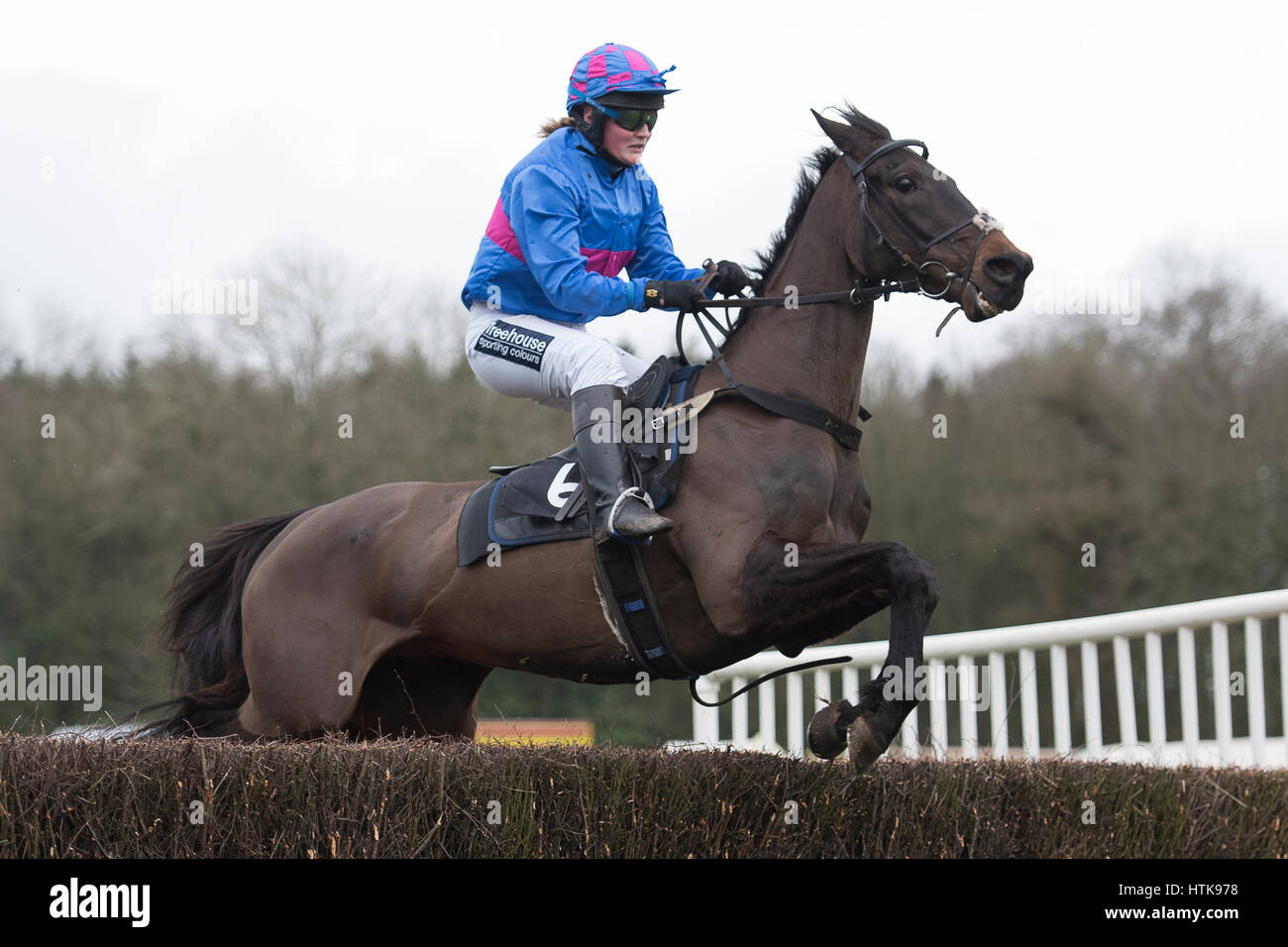 Hackwood park Banque de photographies et d’images à haute résolution ...