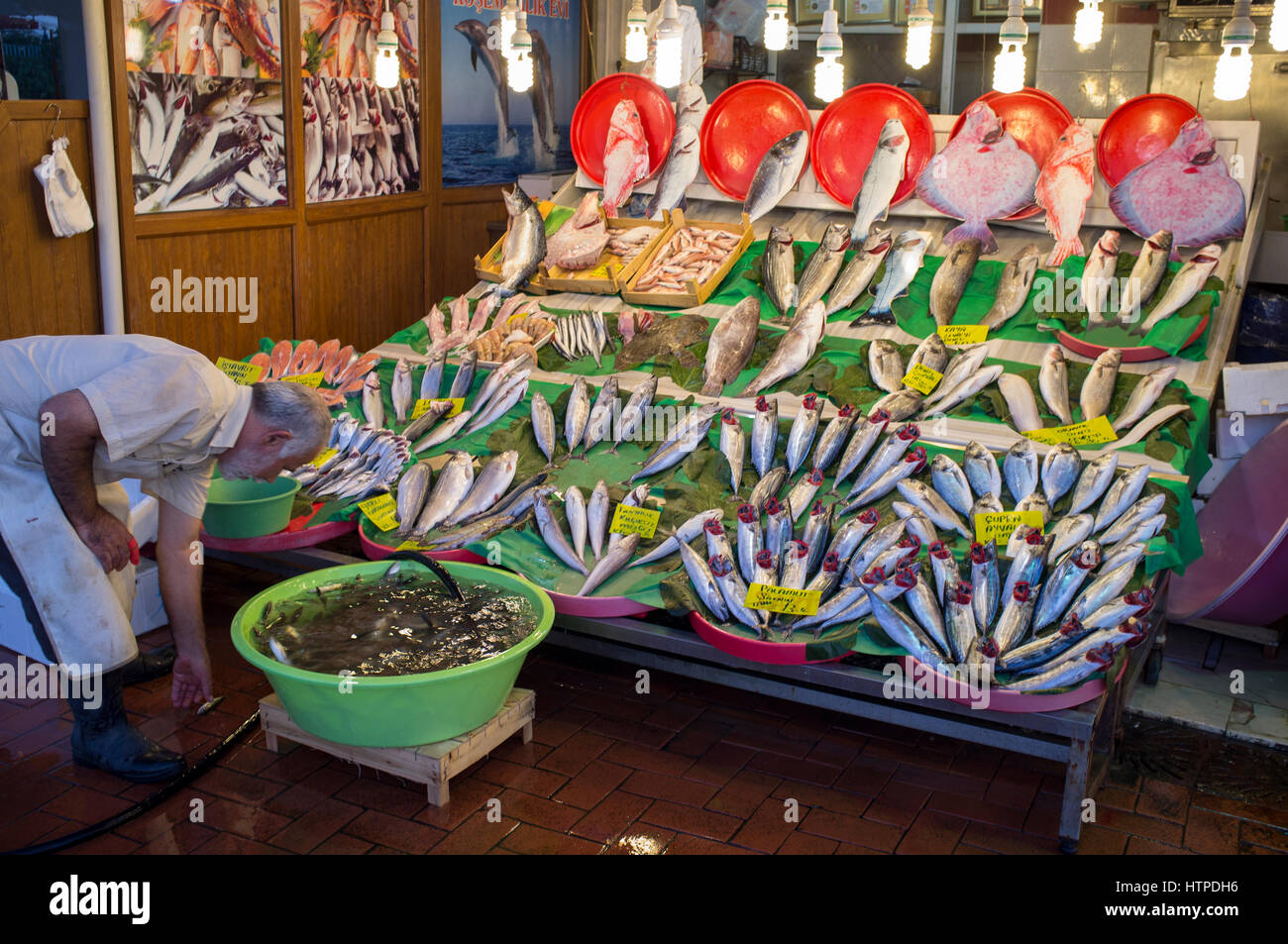 Stand de poisson Banque de photographies et d’images à haute résolution ...
