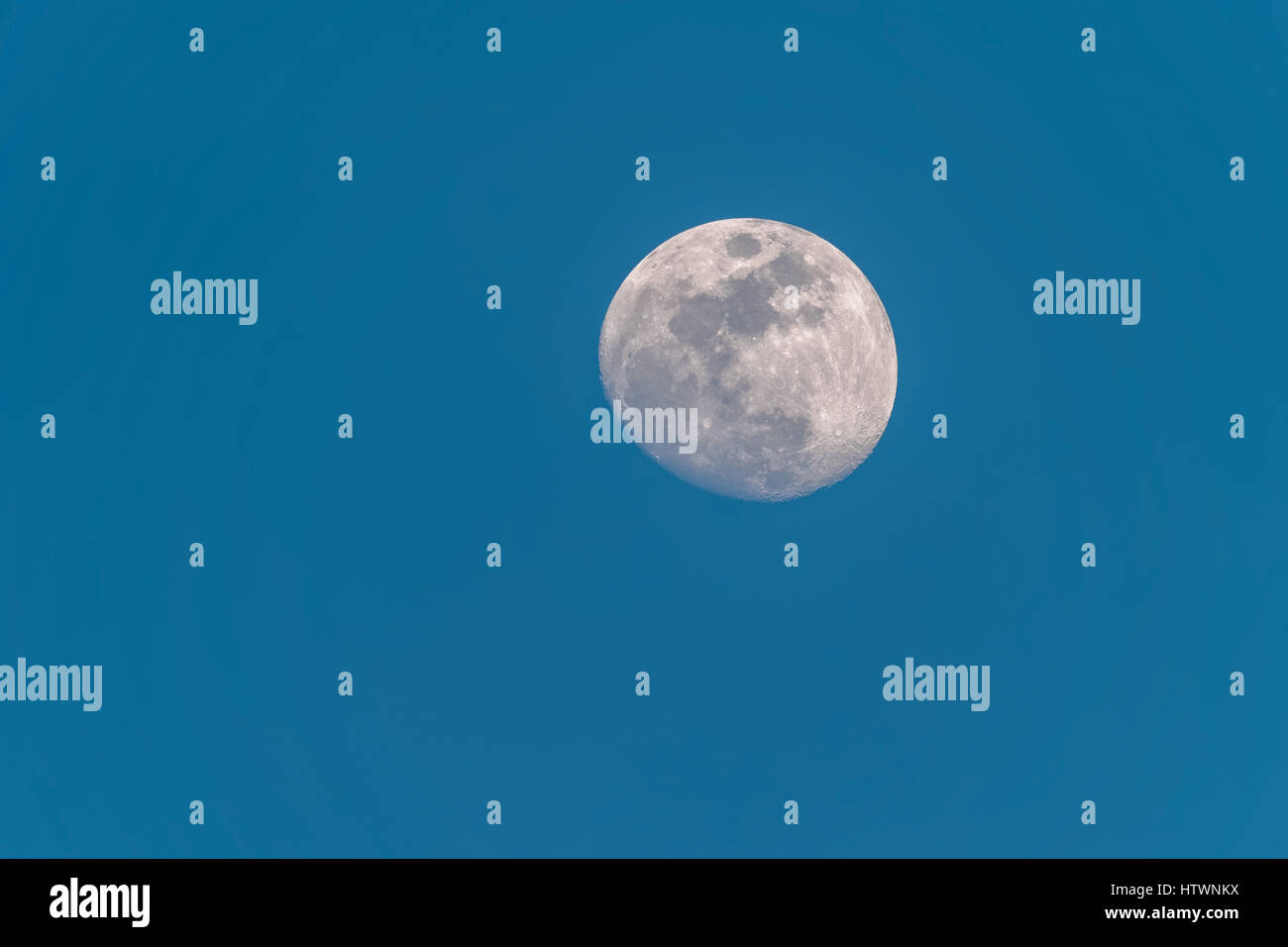 La lune, dans une phase gibbeuse dans le Matin Bleu fond. détail ...