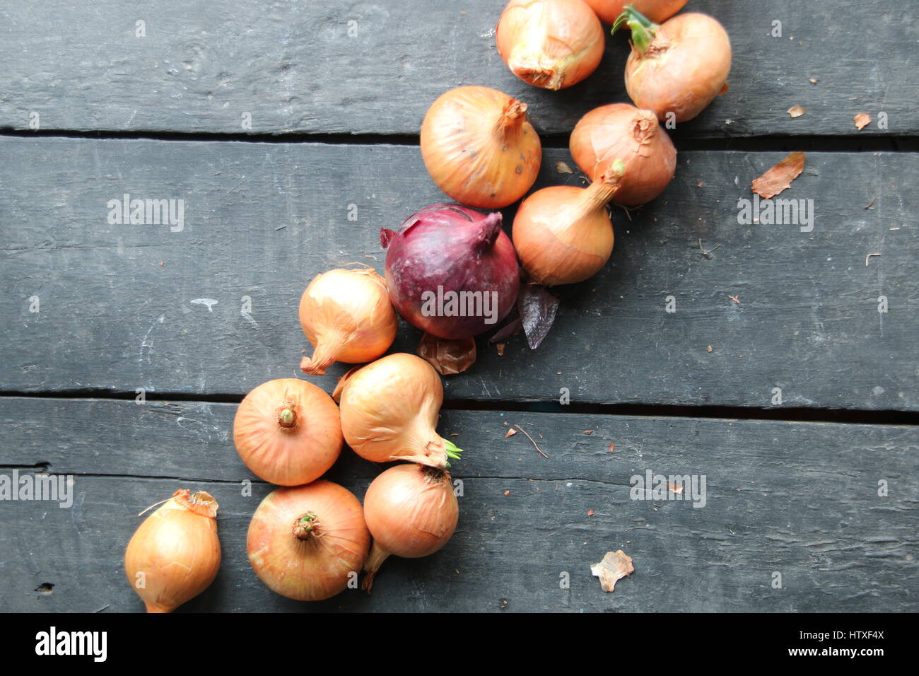 Oignon nutrition Banque de photographies et d’images à haute résolution ...