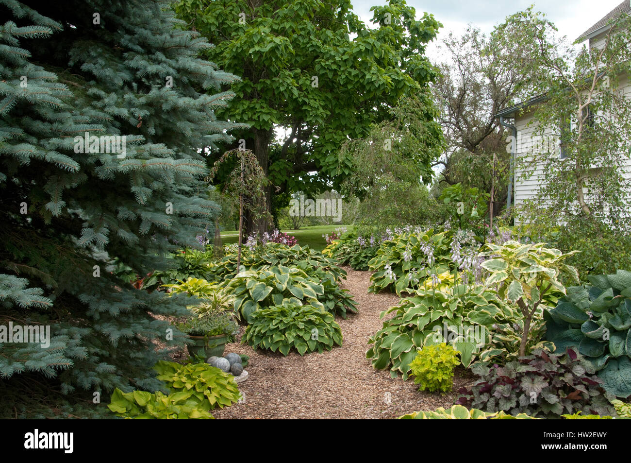 Hosta path Banque de photographies et d’images à haute résolution - Alamy