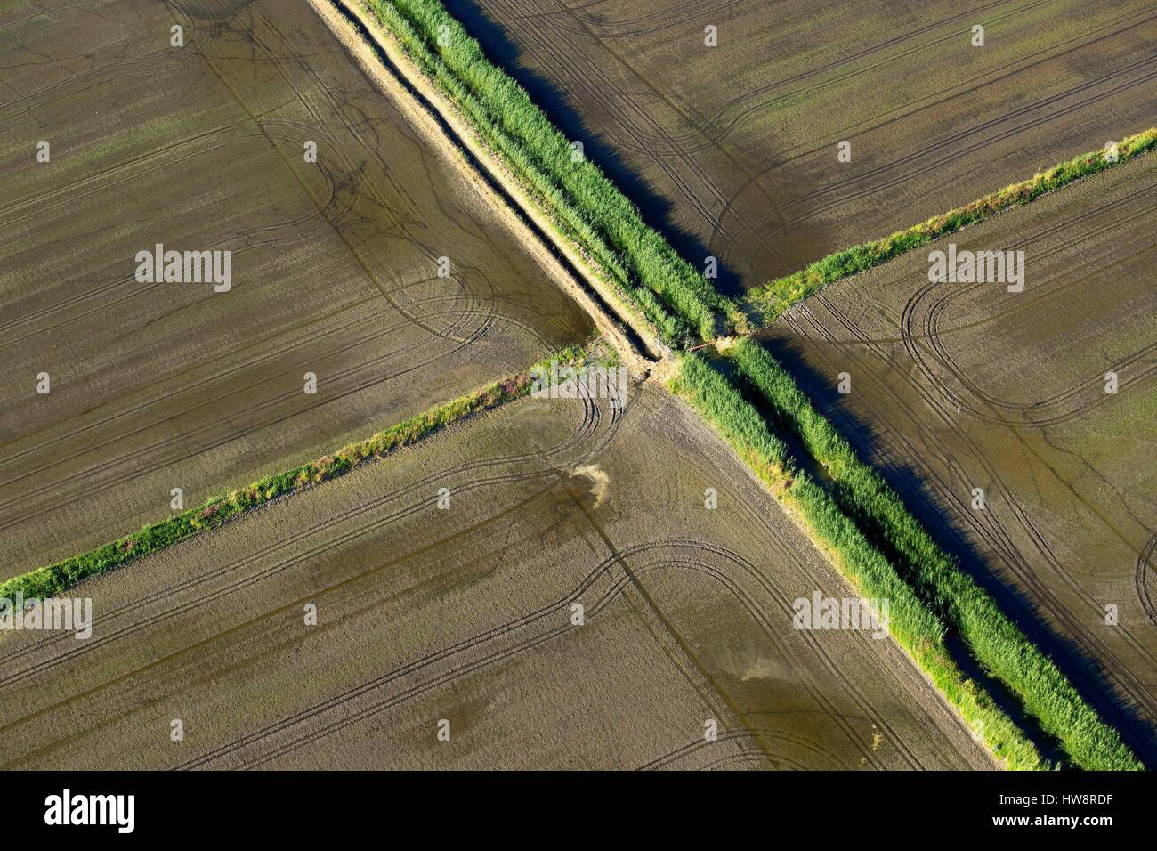 Crau at arles Banque de photographies et d’images à haute résolution ...