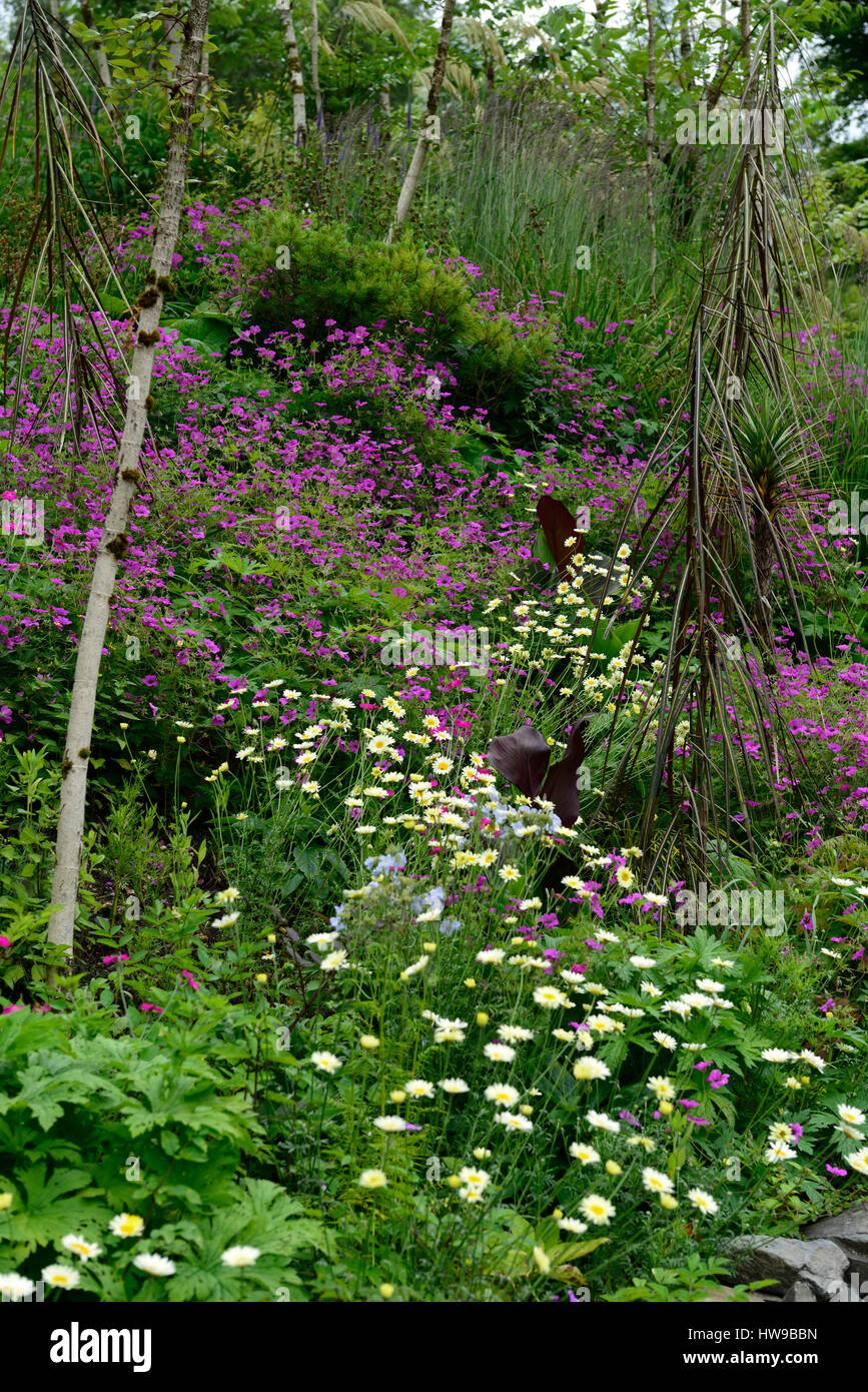 Mont vénus Banque de photographies et d’images à haute résolution ...