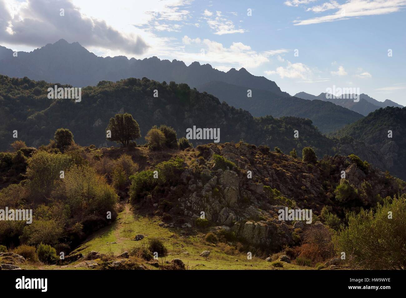 Gorges du prunelli valley Banque de photographies et d’images à haute ...