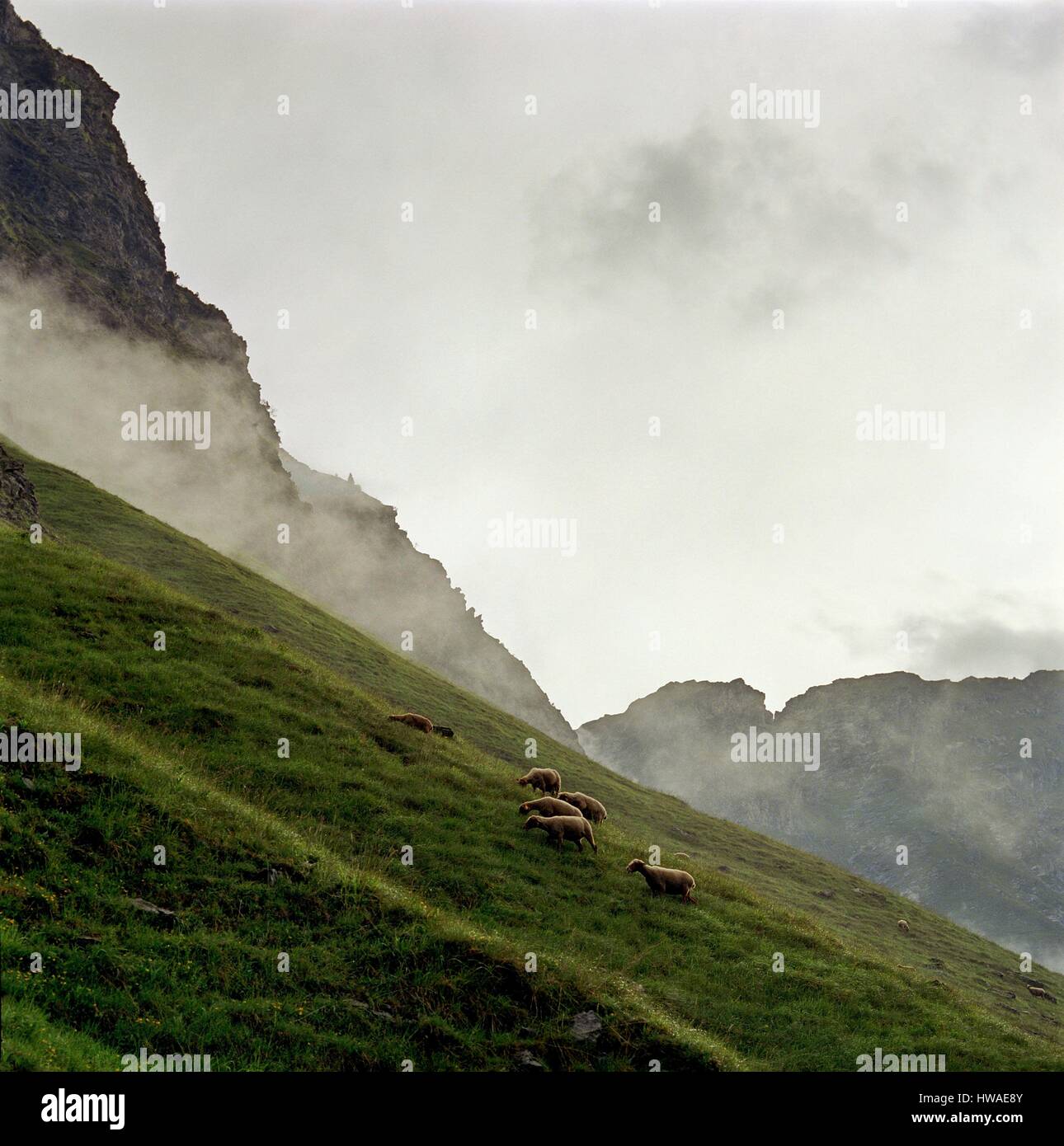 France savoie tarentaise valley bozel Banque de photographies et d ...