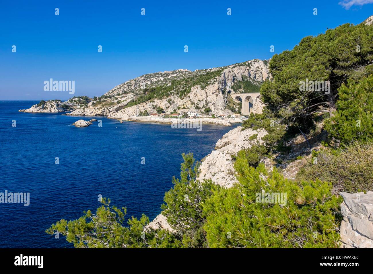 La vesse Banque de photographies et d’images à haute résolution - Alamy